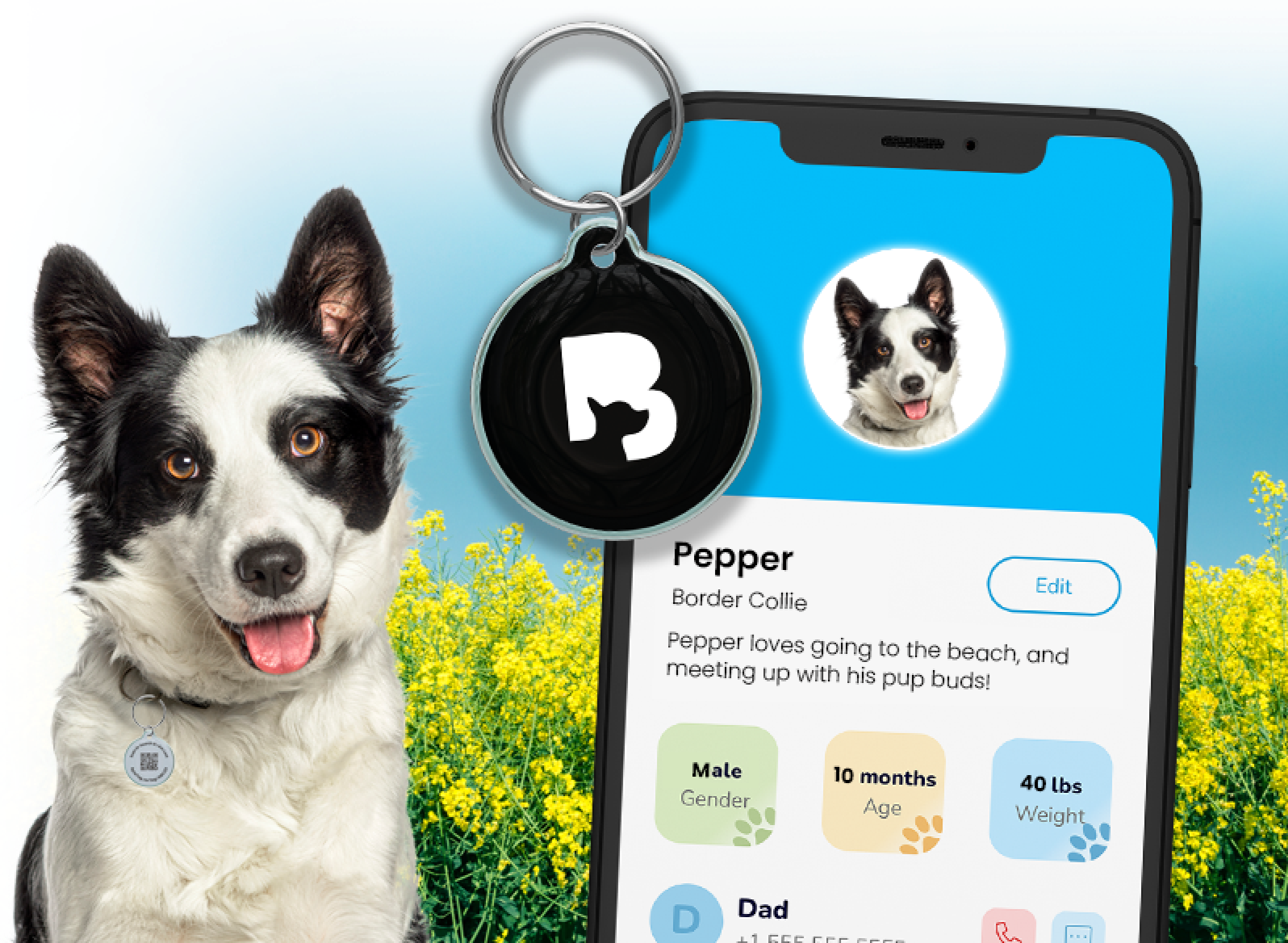 24Petwatch: Get your Pet Tag ID with QR Code for Your Dogs and Cats