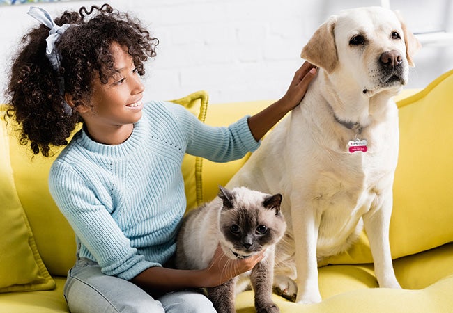 24Petwatch: Pet microchip registry: How to easily register your microchip