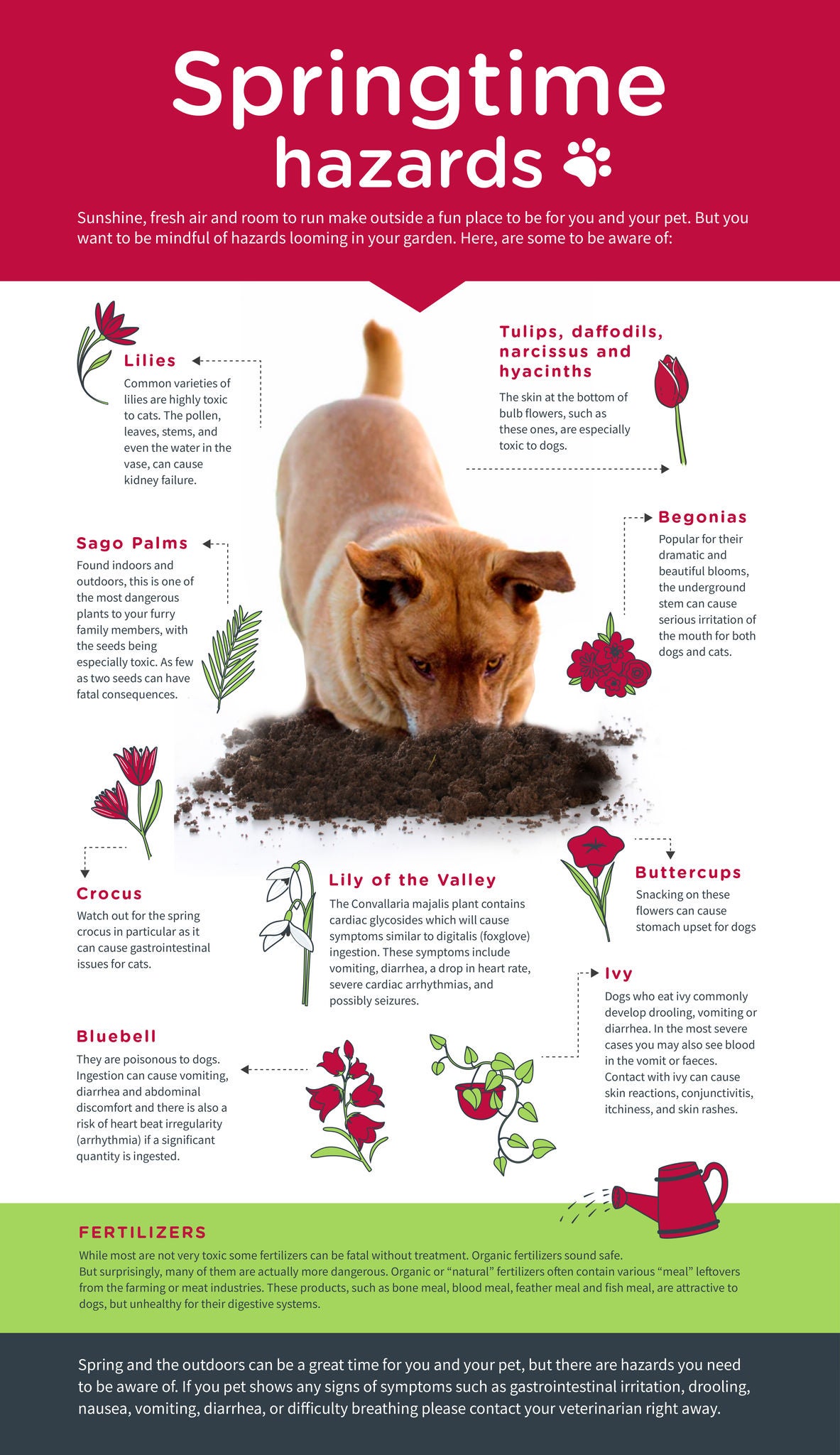 24Petwatch: Springtime Hazards: Protect your Pets From Toxic Plants