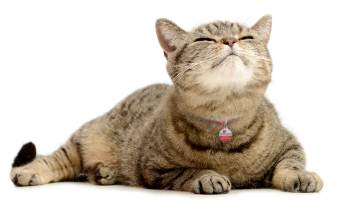 24Petwatch: Transfer of Pet Microchip Registration