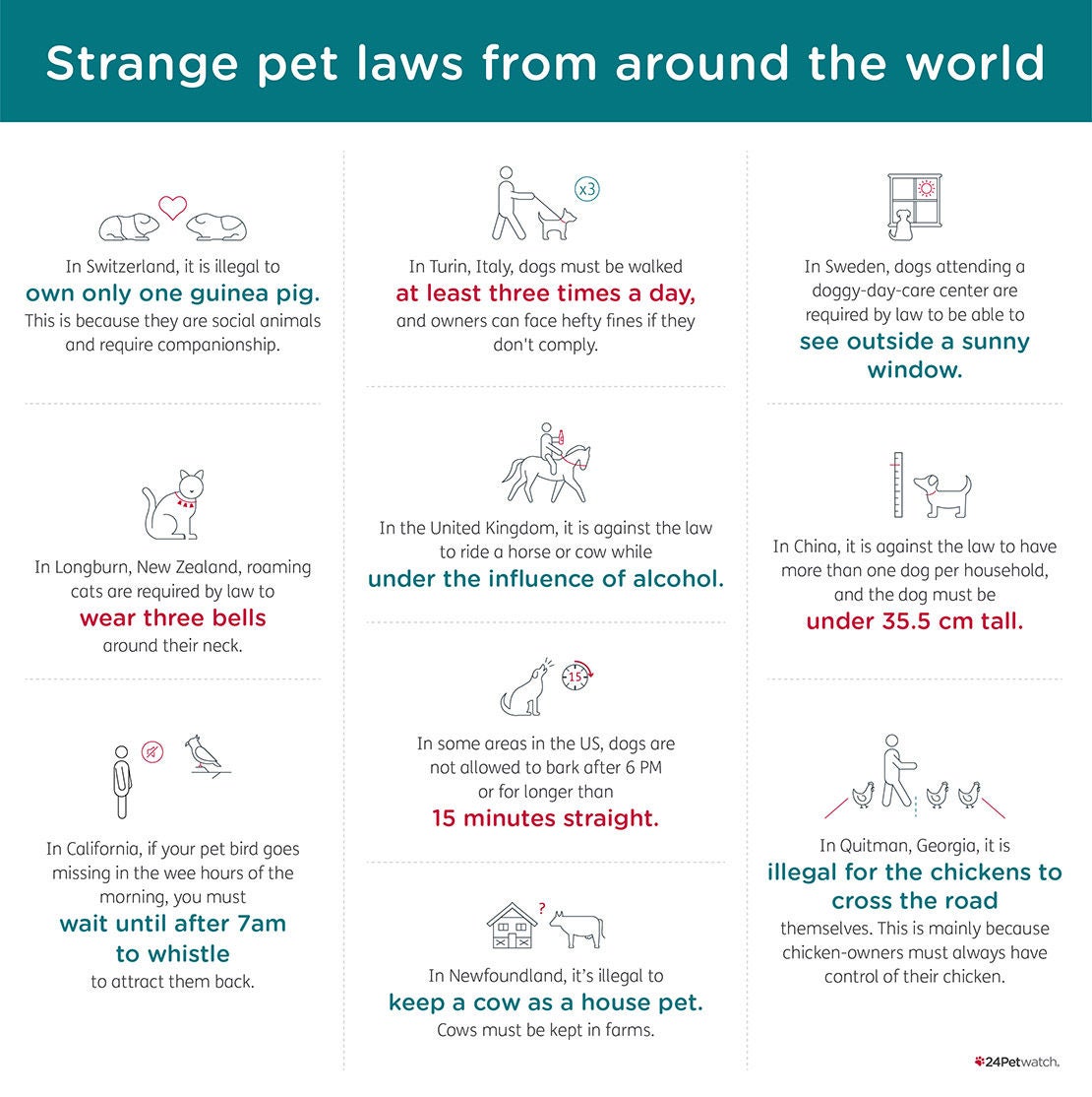 24Petwatch Canada Strange Pet Laws From Around The World 24Petwatch Canada Strange Pet Laws From Around The World