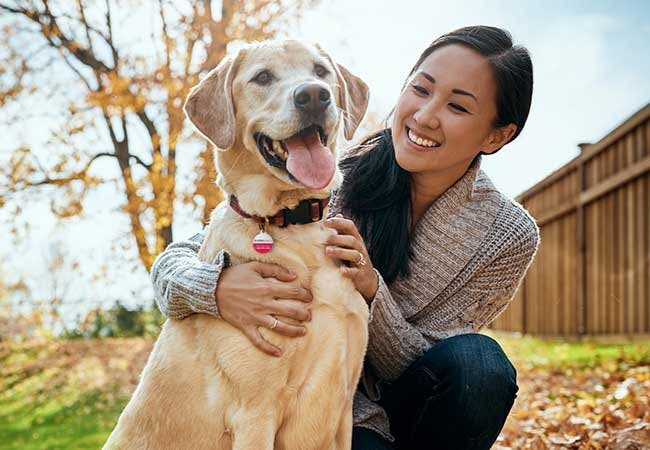 24Petwatch: Tips on how to bond with your dog