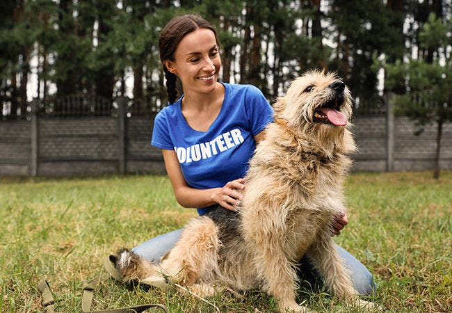 24Petwatch: Shelter Spotlight: Wisconsin Humane Society