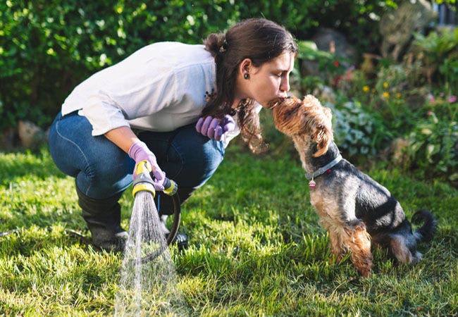 24Petwatch: Spring cleaning and your pet’s safety