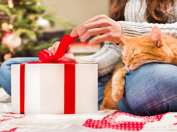 24Petwatch: 10 purr-fect gifts for cat lovers
