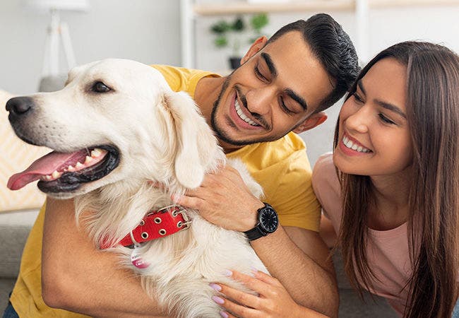 24Petwatch Canada: Tips for new pet owners: pet supply checklist