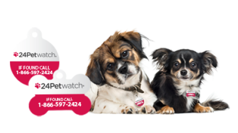 24Petwatch Canada: Transfer Microchip Registration