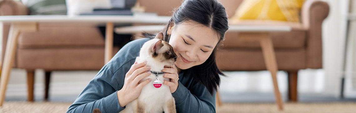 24Petwatch: Adopting a cat | Tips for a successful cat adoption