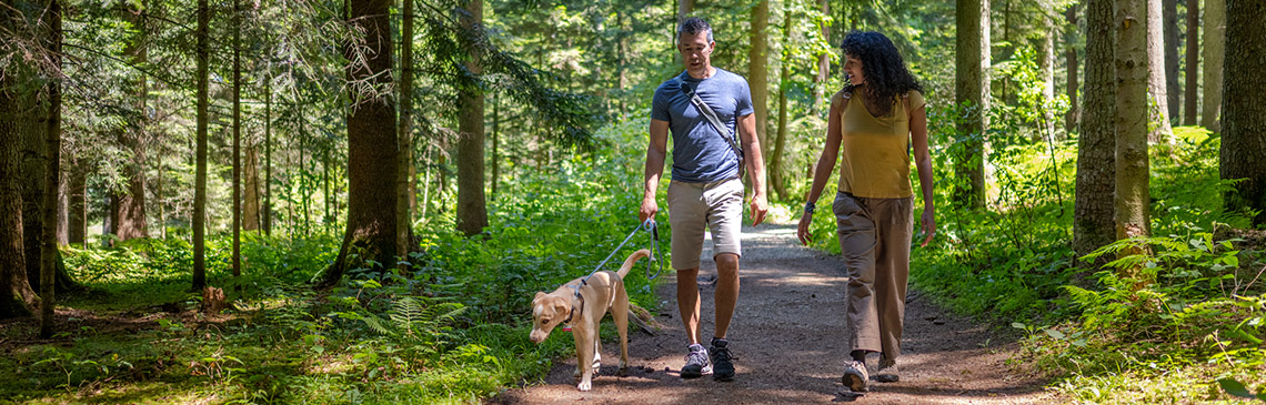 24Petwatch: Discover the best dog-friendly hiking trails in US and Canada