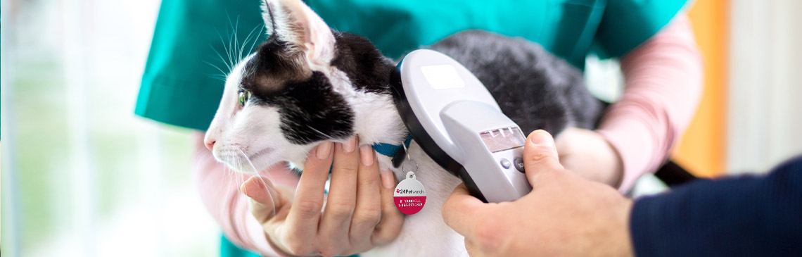 24Petwatch: Pet Microchips 101