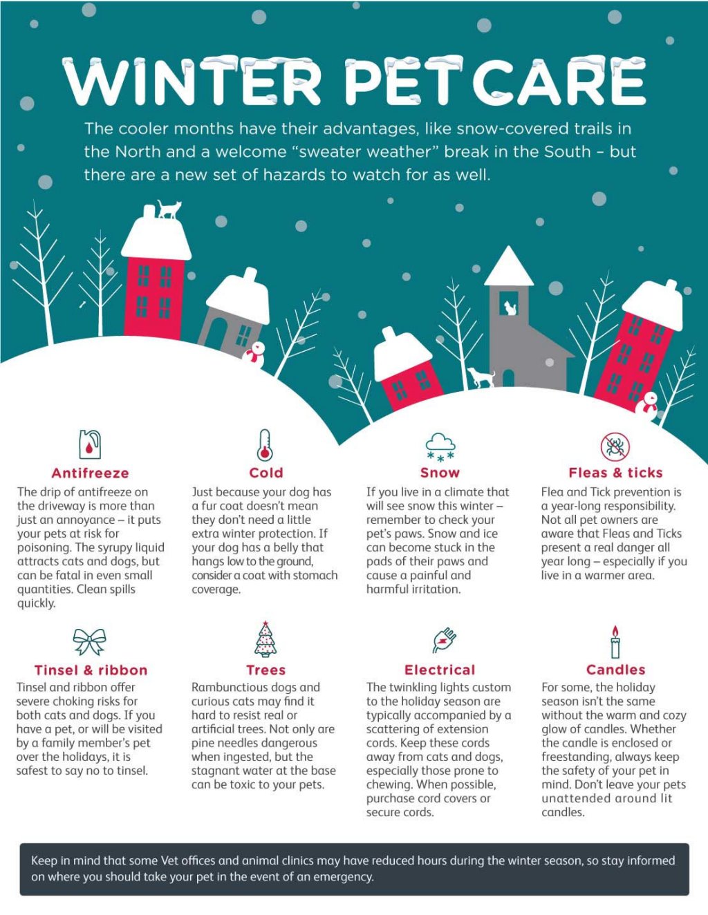 How Do You Take Care Of A Dog In The Snow