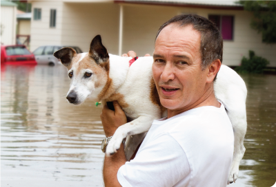24Petwatch: How to Prepare for a Natural Disaster or Emergency ...