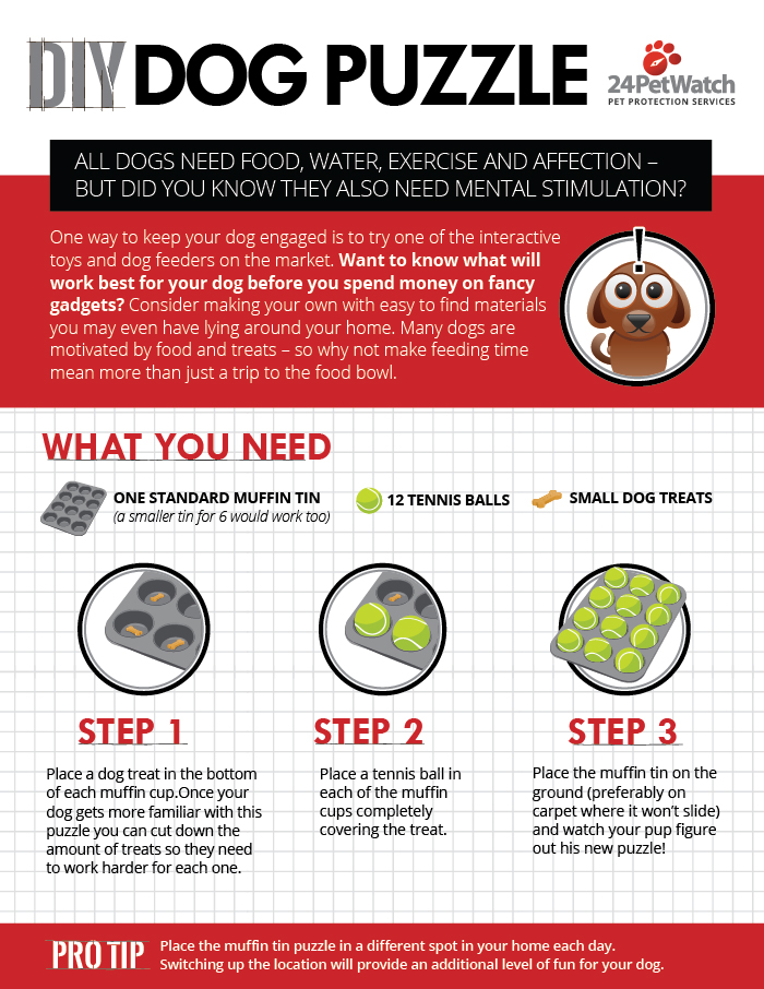 24Petwatch: DIY Dog Puzzle