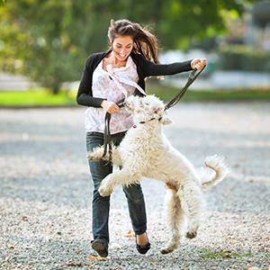 Dog Jumping Up On People