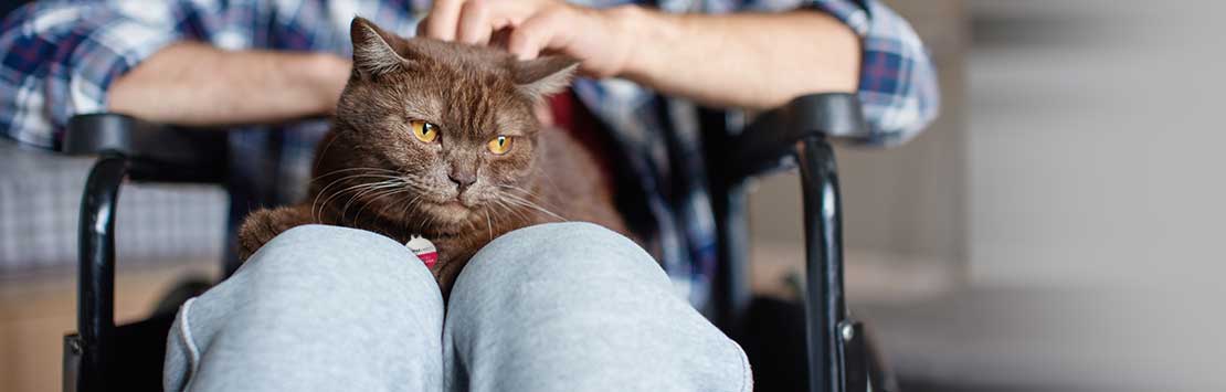 24Petwatch: How Pets Are Good For Human Health