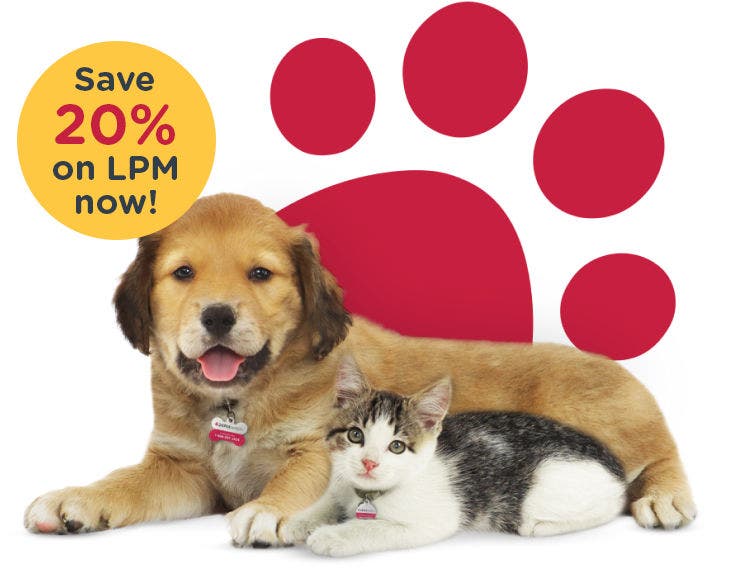 Lifetime Protection Membership